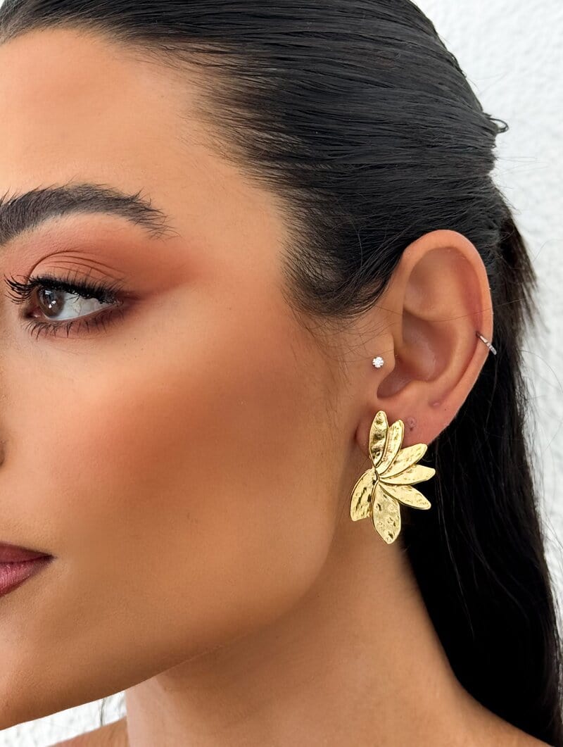 FB ACESSÓRIOS | Folheados e acessórios direto de fábrica - Brinco ...